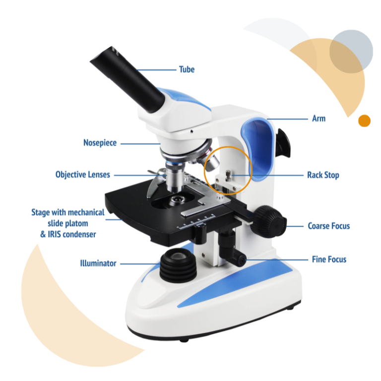 Tips for Microscope Maintenance - Part 1 | EduSupplies