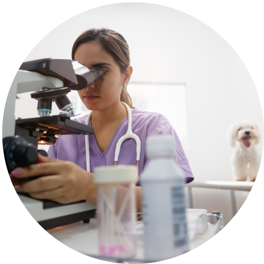 Microscope Servicing | EduSupplies