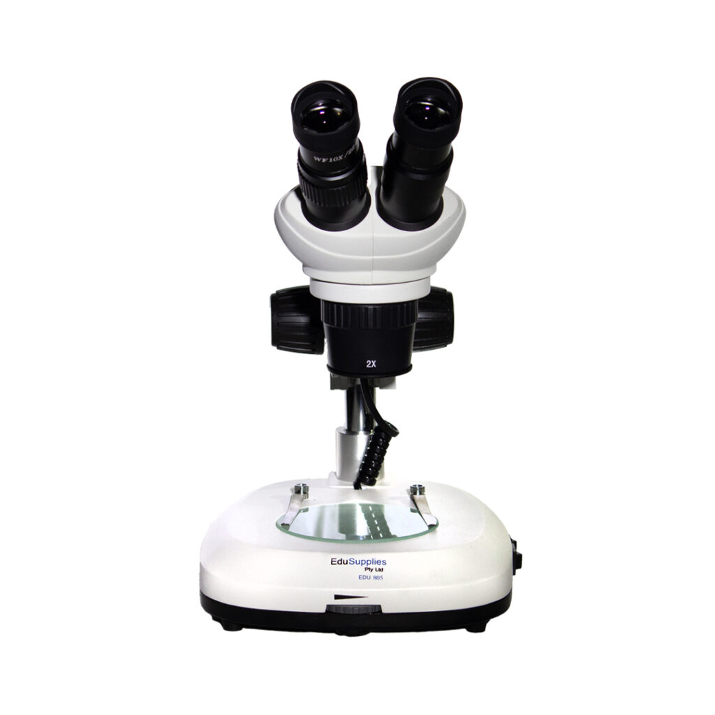 Dissection Microscope EDU805 | EduSupplies